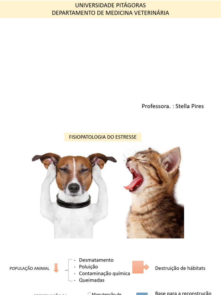 Fisiopatologia do Estresse em Animais | PDF | Cortisol | Estresse ...