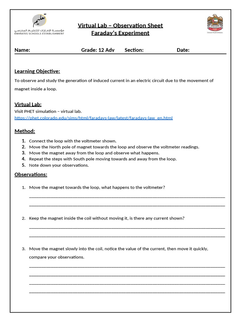 Lab Observation Sheet - Faradays Exp | PDF