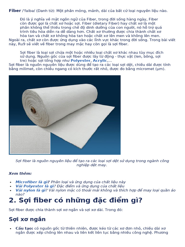 Fiber | PDF