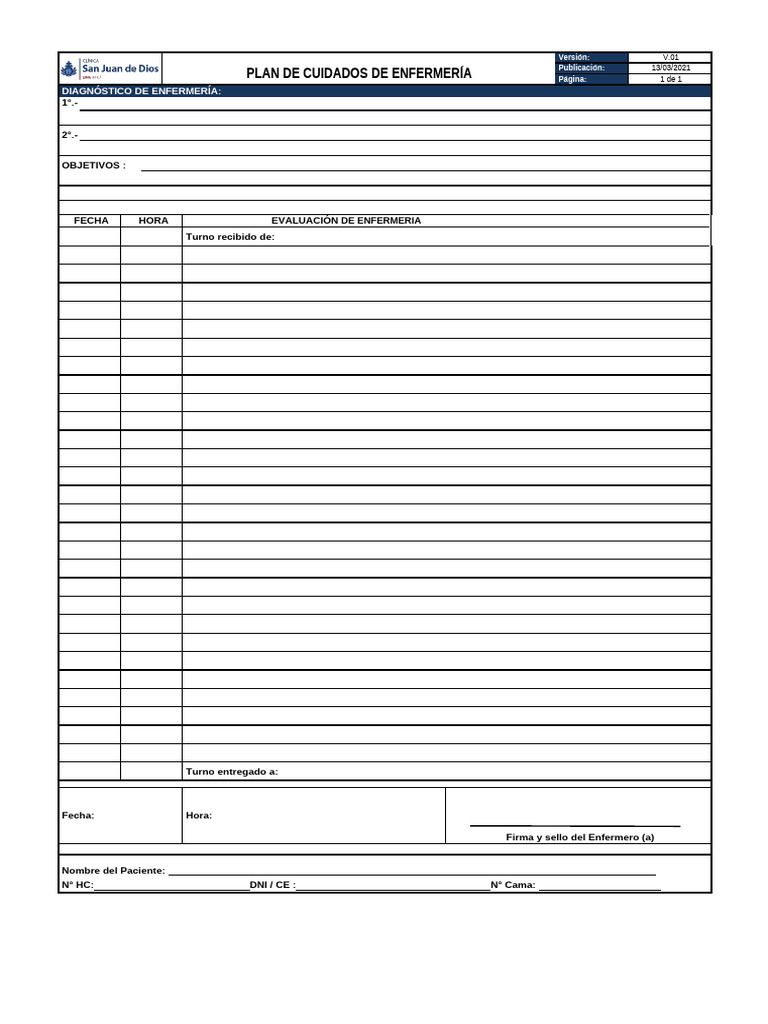 Plan de Cuidados de Enfermería V.01 | PDF