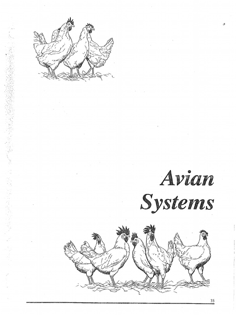 2015 Poultry Quiz Bowl Study Guide | PDF