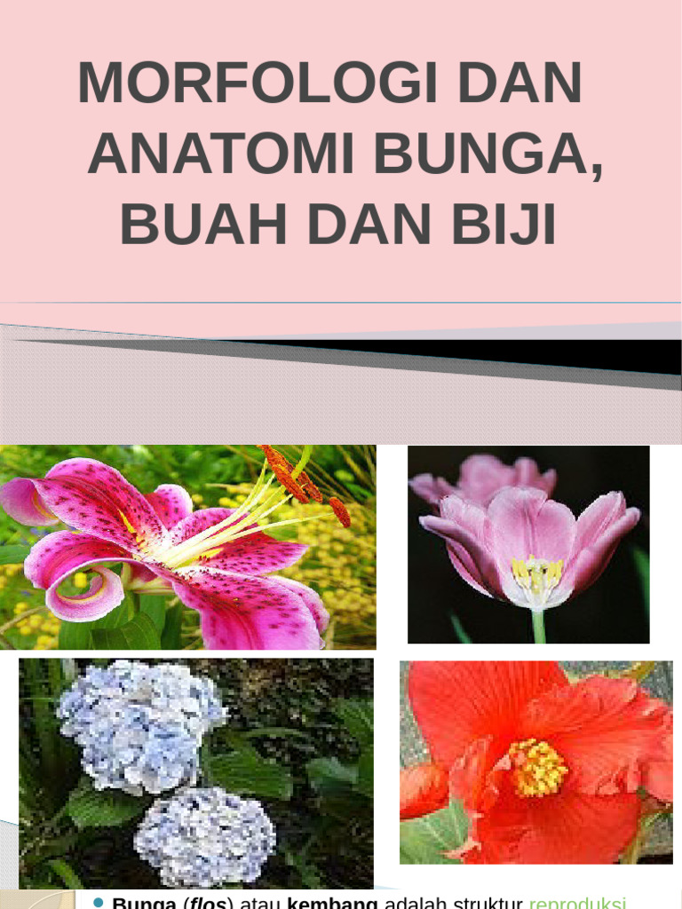 Bunga Buah Dan Biji Dan Rumus Bunga | PDF