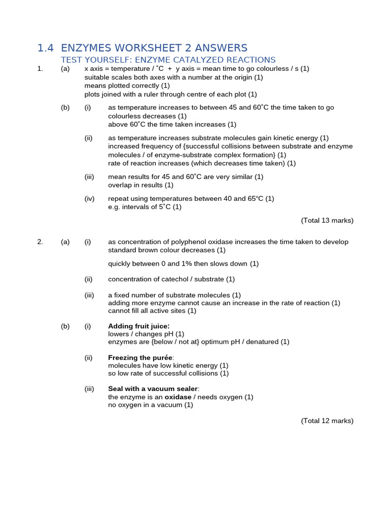 Enzyme Worksheet 2 Answers | PDF