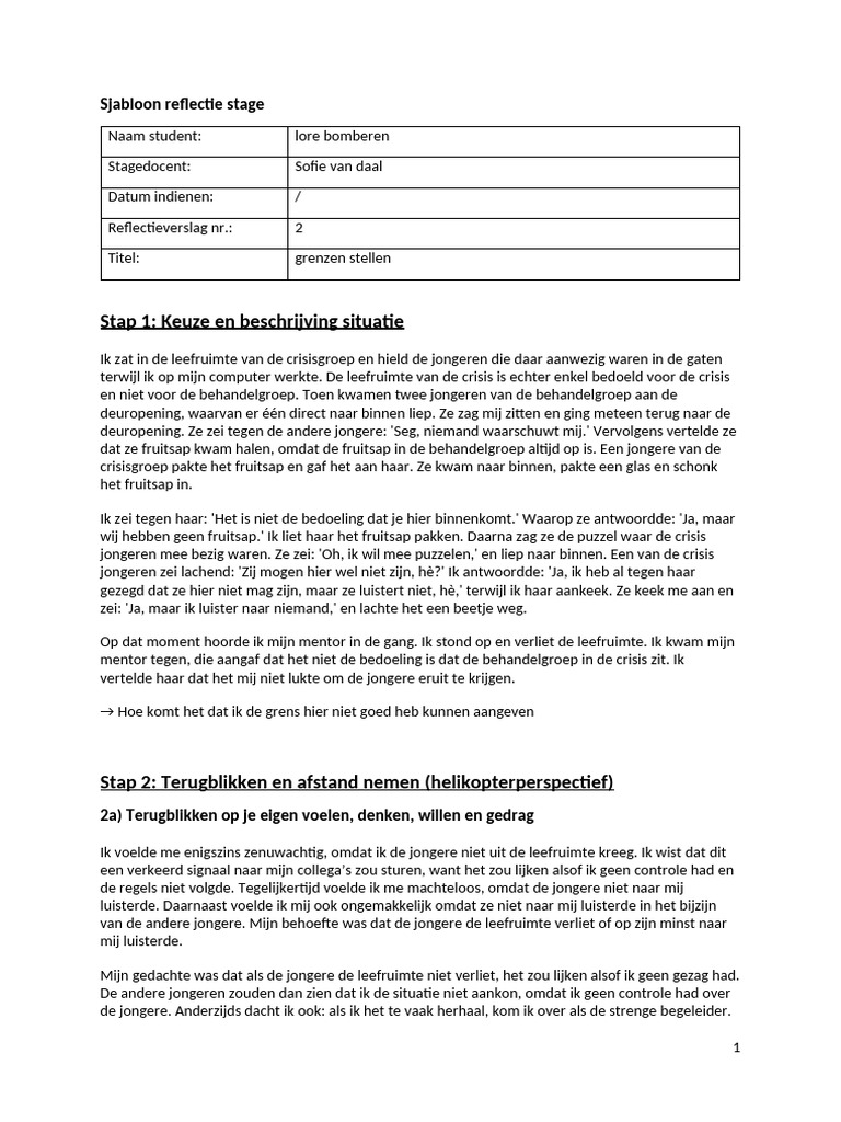 Reflectieverslag 2 | PDF