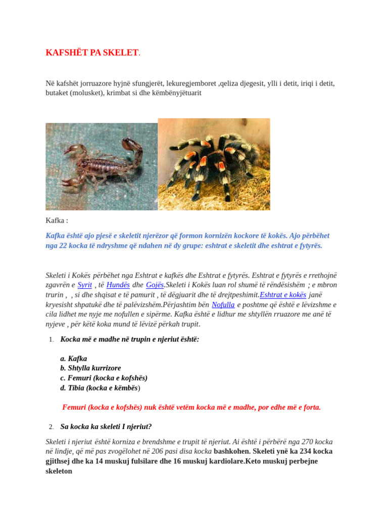 Kafshet Pa Skelet | PDF
