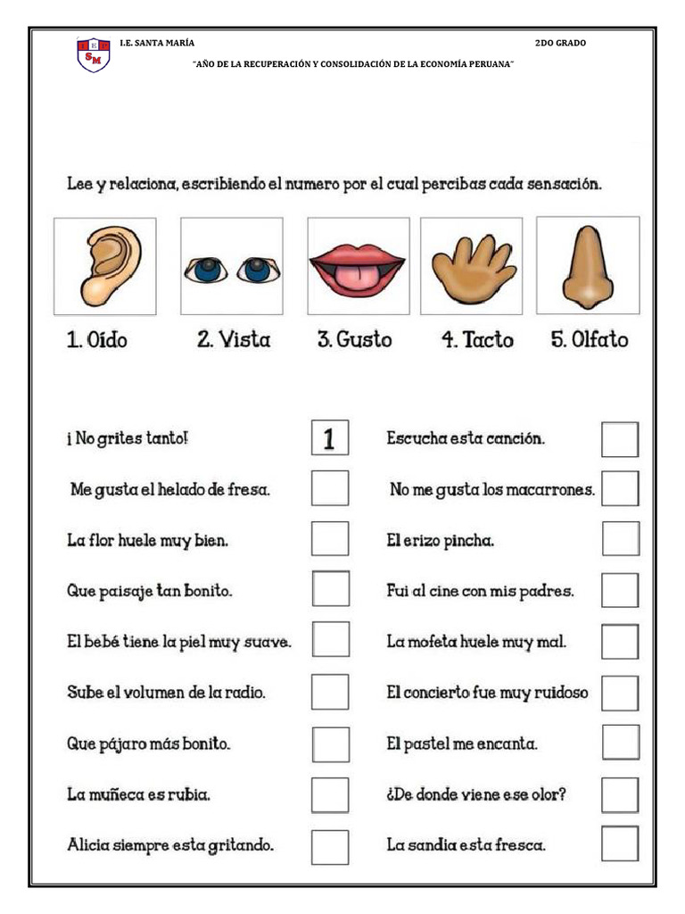 Ficha de Los Sentidos | PDF