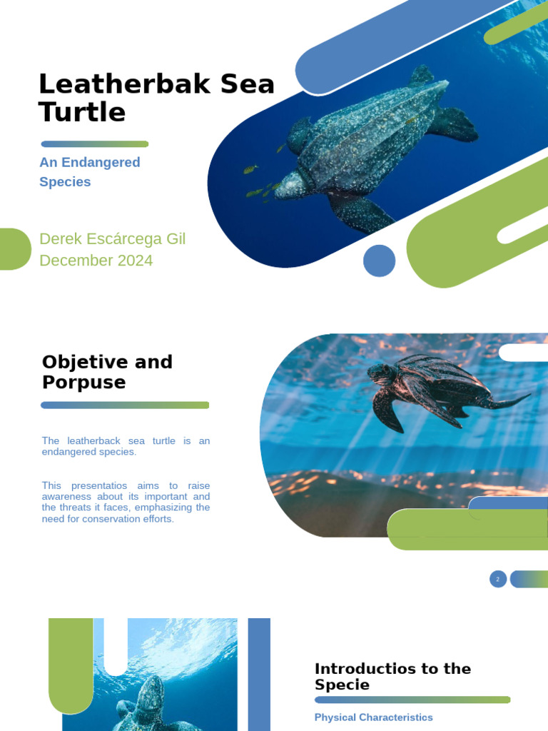 leatherback sea turtle | PDF | Sea Turtle | Endangered Species