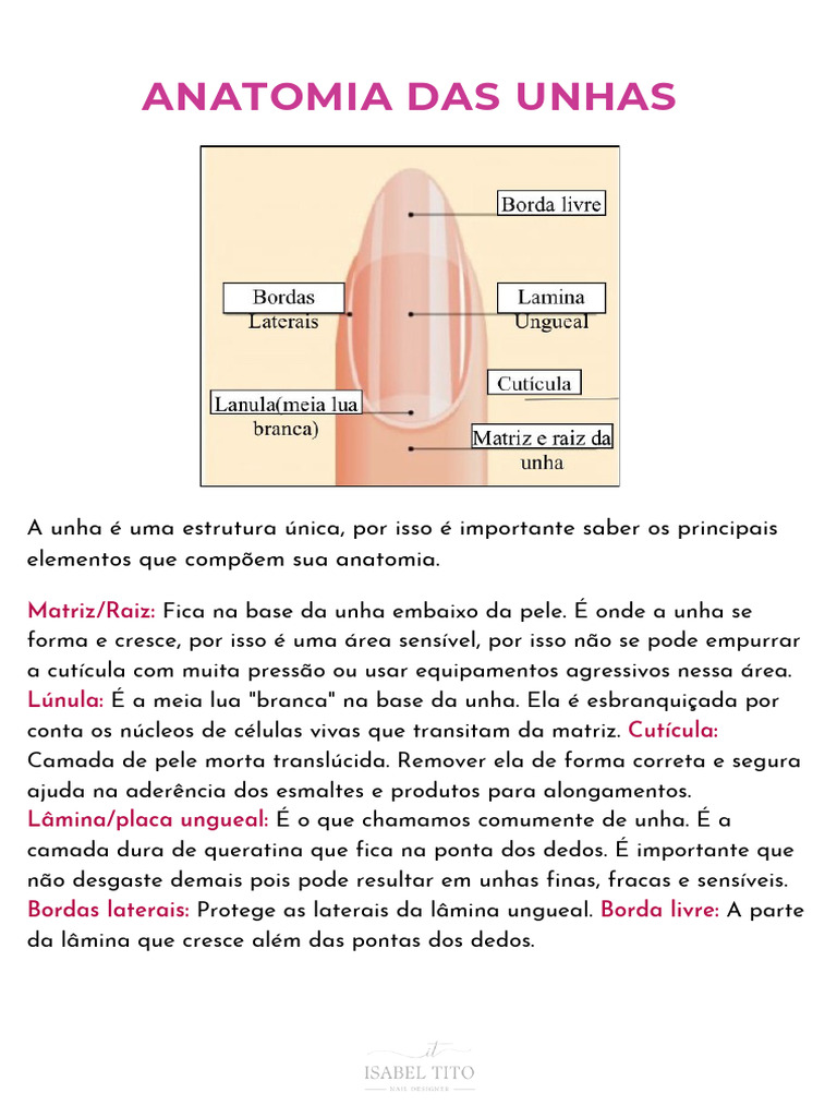 Anatomia das Unhas: Estruturas e Cuidados | PDF