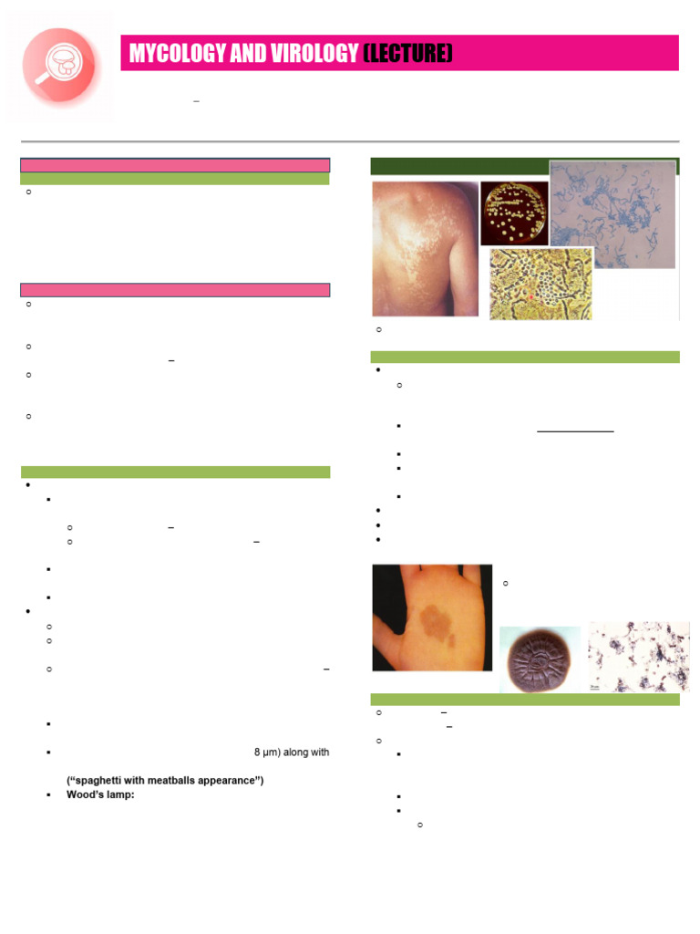 MYCV-LEC-WEEK-3-SUPERFICIAL-SUBCUTANEOUS-MYCOSES | PDF | Mycology | Fungus