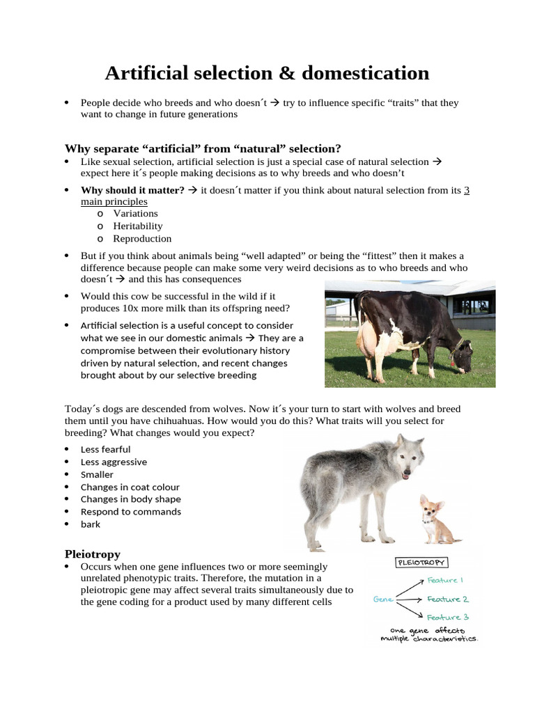Artificial Selection Domestication | PDF | Inbreeding | Natural Selection