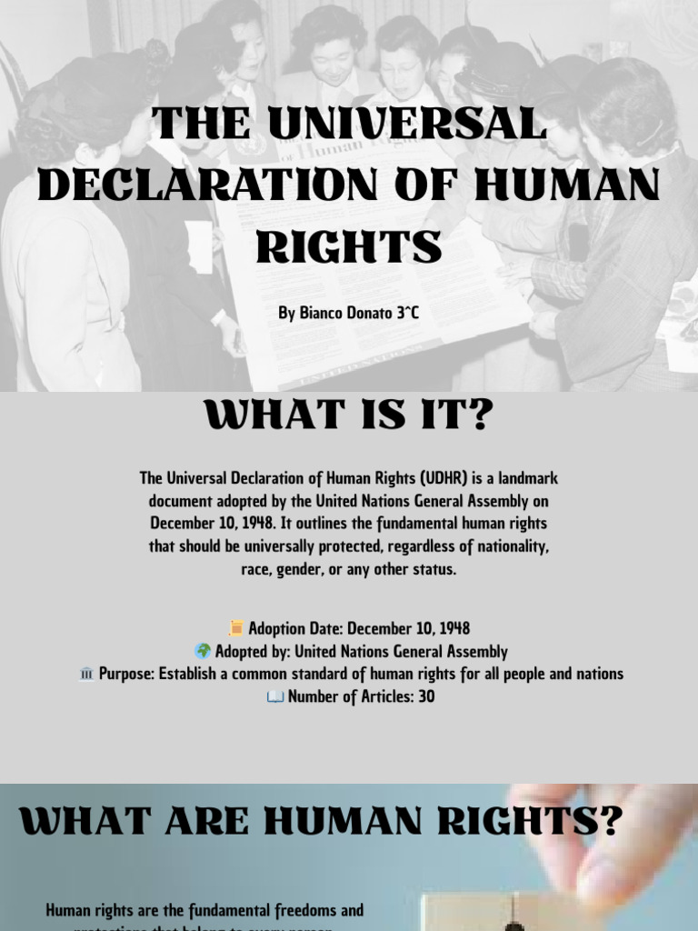 THE UNIVERSAL DECLARATION OF HUMAN RIGHTS | PDF | Human Rights | Slavery