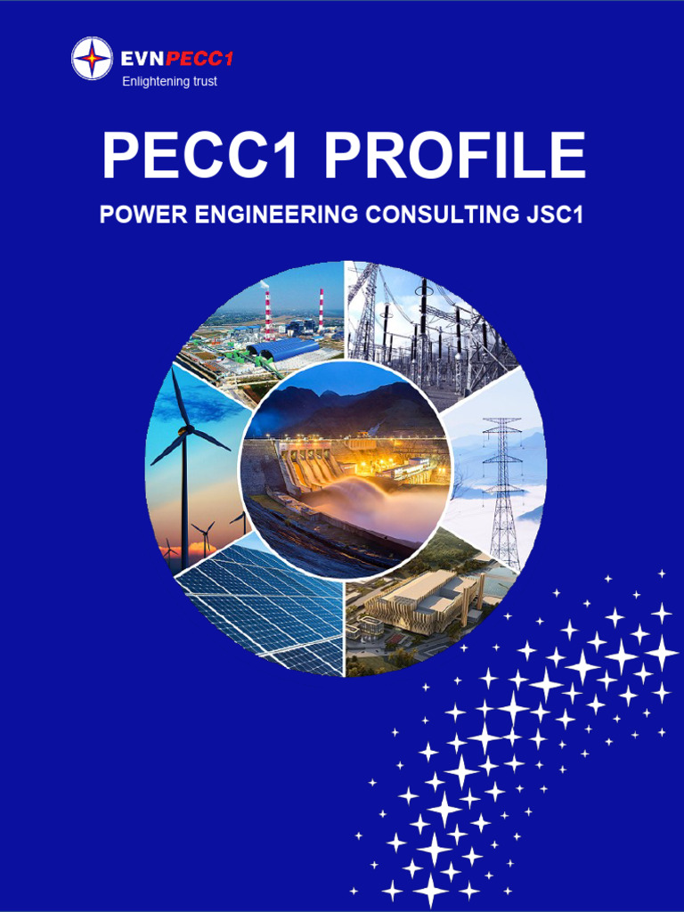Pecc1 Profile | PDF | Power Station | Nuclear Power