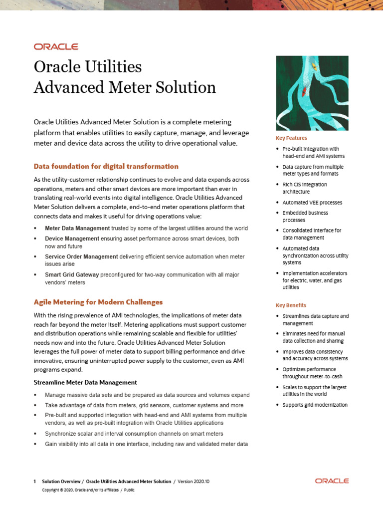 DATASHEET - Utilities-Advanced-Meter-Solution-Ds | PDF | Automation ...