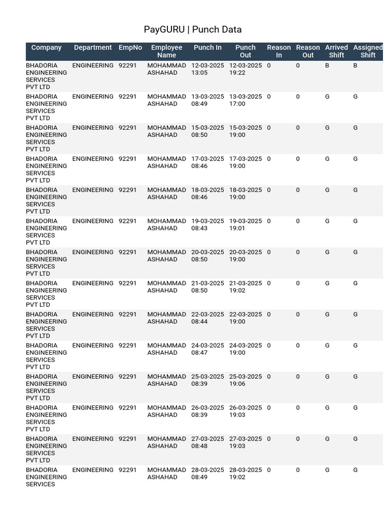 PayGURU Punch Data | PDF
