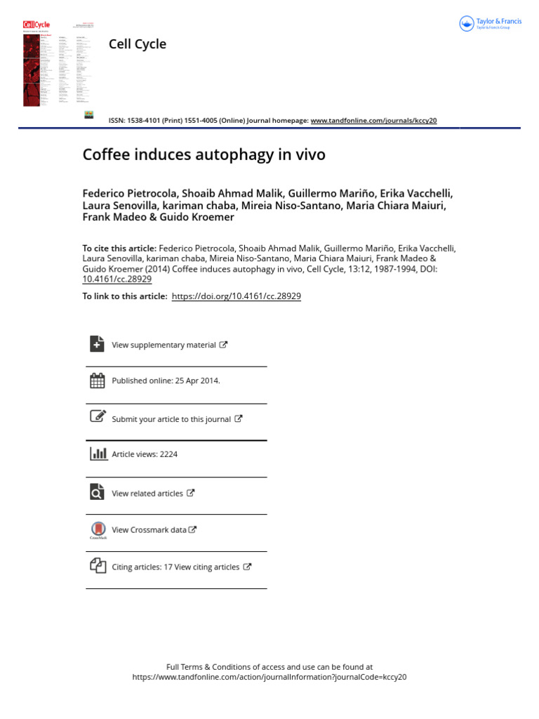Coffee Induces Autophagy in Vivo | PDF | Autophagy | Cell Biology
