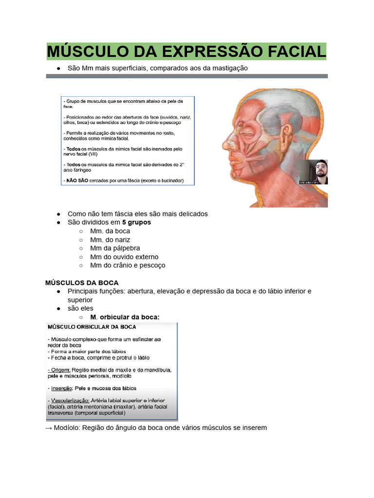 Anatomia dos Músculos Faciais | PDF