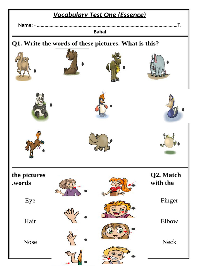 Vocabulary Test: Essence Assessment | PDF