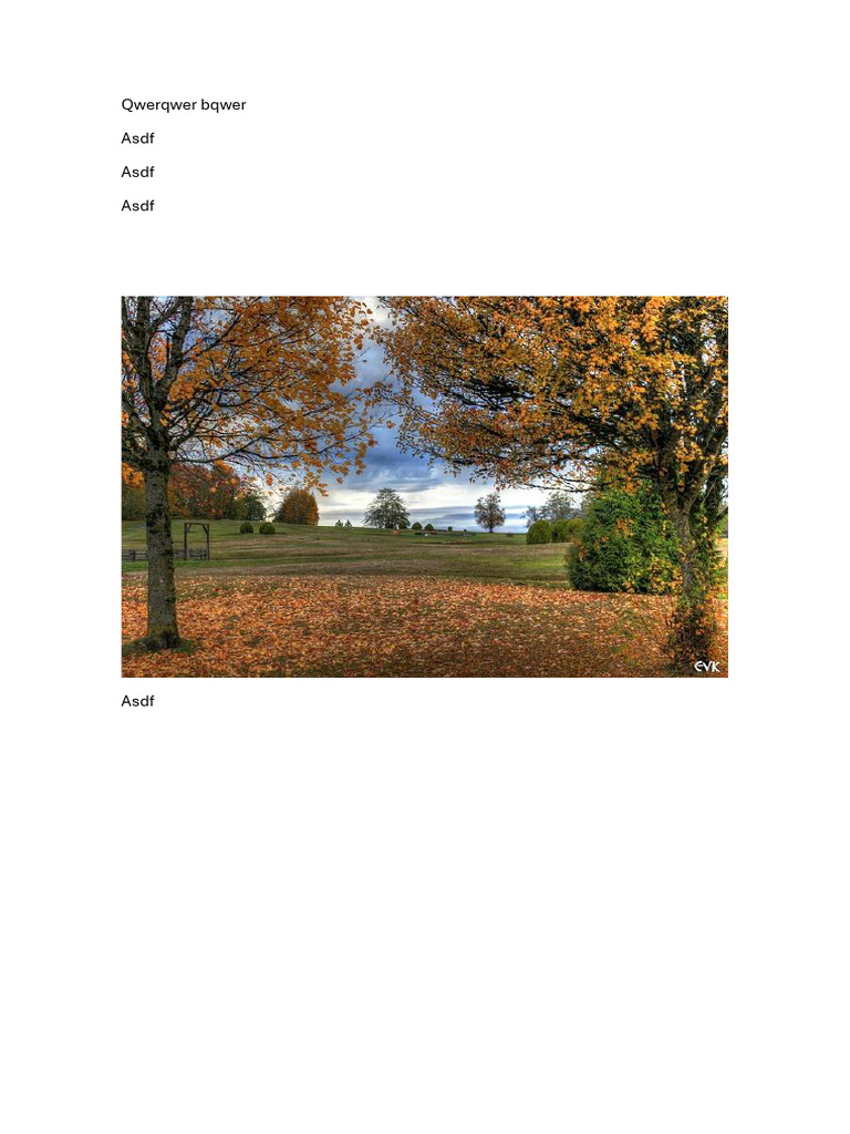 Qwerqwer bqwer | PDF