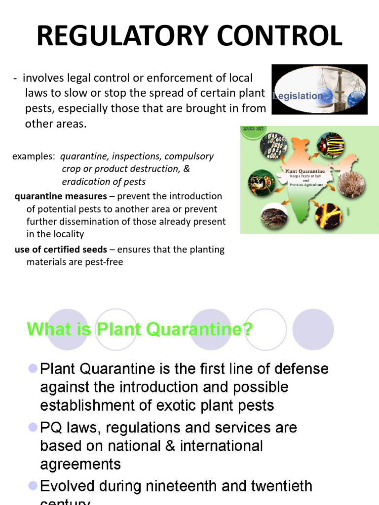 Regulatory Control Compressed | PDF | Coconut | Pest (Organism)