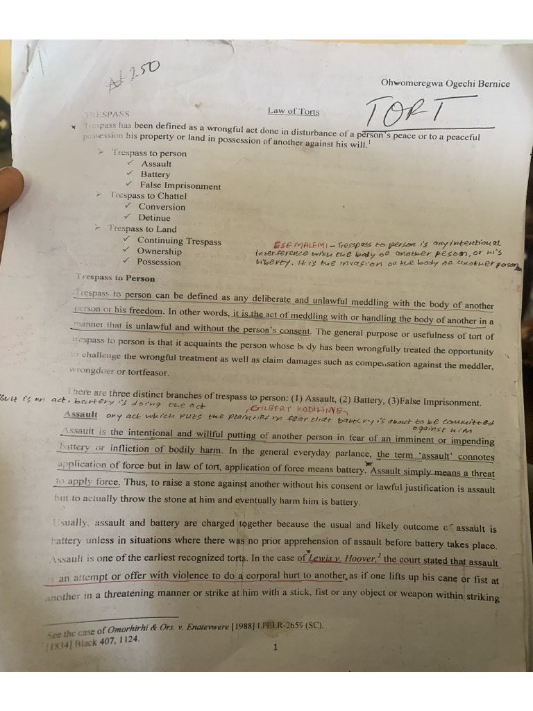 Trespass to Person | PDF