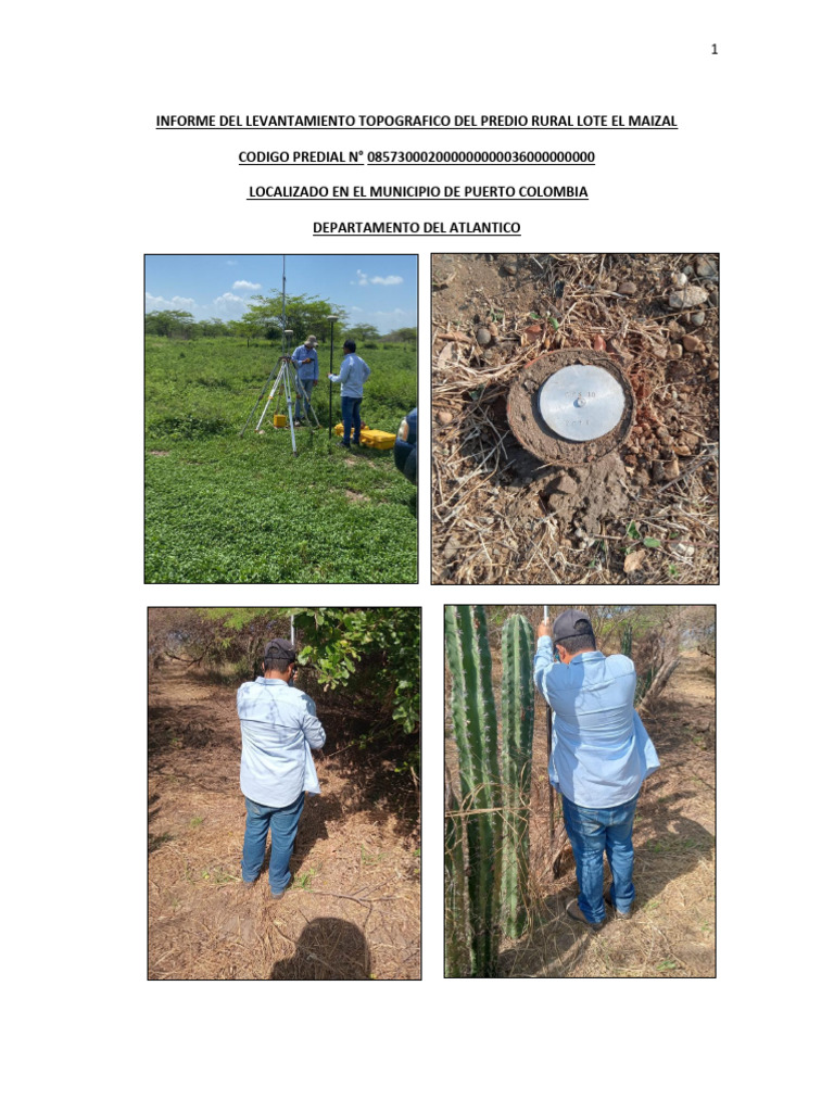 INFORME LEVANTAMIENTO MAIZAL 2025 (Recuperado) (Recuperado) (Recuperado ...