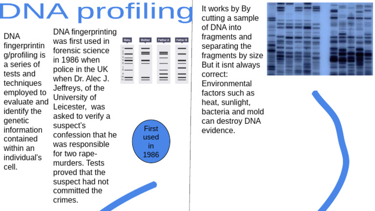 DNA Fingerprinting: Techniques & History | PDF
