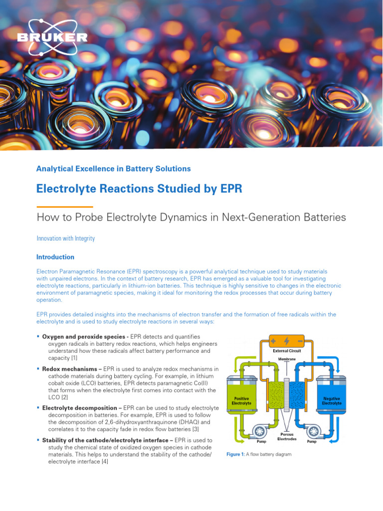 BS-100028 Electrolyte Reactions With Epr | PDF | Electron Paramagnetic Resonance | Redox