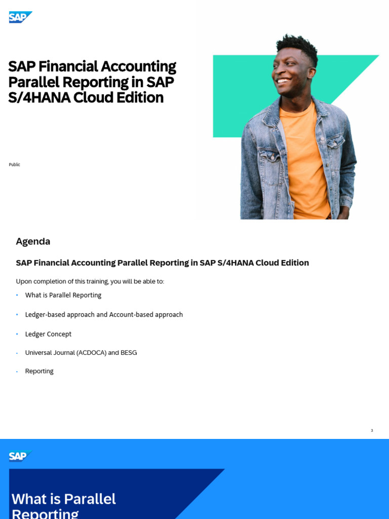 Financial Accounting Parallel Reporting in SAP S4HANA Cloud Private ...
