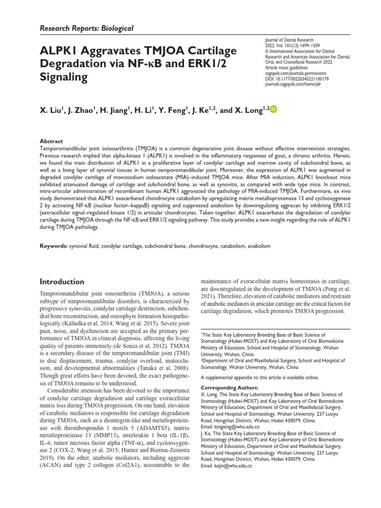 191 ALPK1 Aggravates TMJOA Cartilage Degradation via NF κB and ERK1 2 ...
