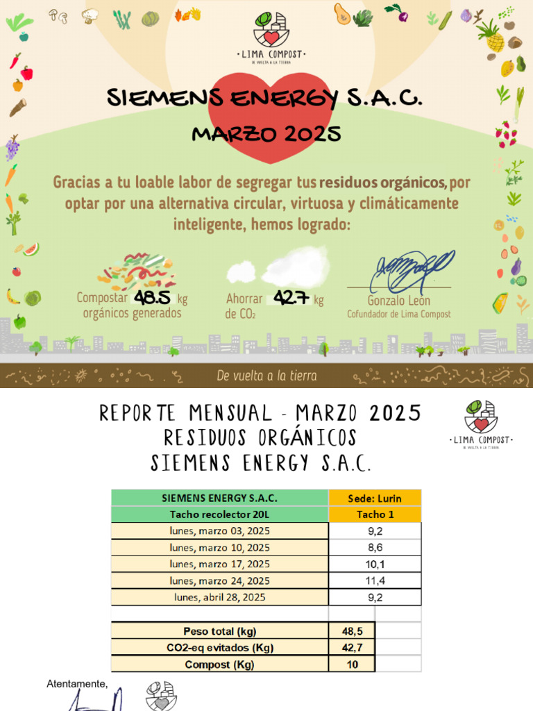 Constancia y Reporte - Mar 25 - Siemens | PDF