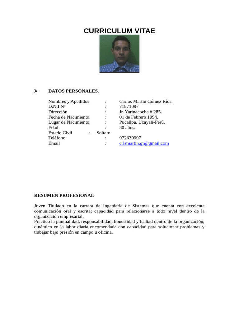 Curriculum Vitae | PDF | Informática