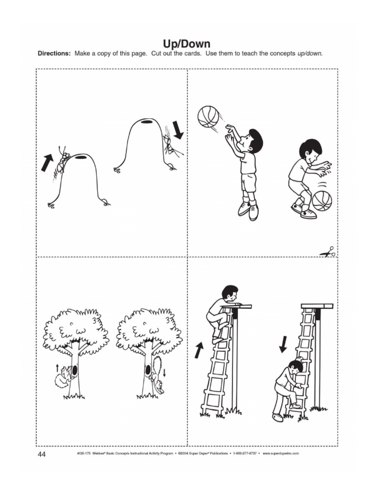 Basic Concetps - Up, Down | PDF