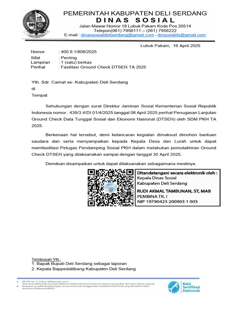 Fasilitasi Ground Check DTSEN 2025 | PDF