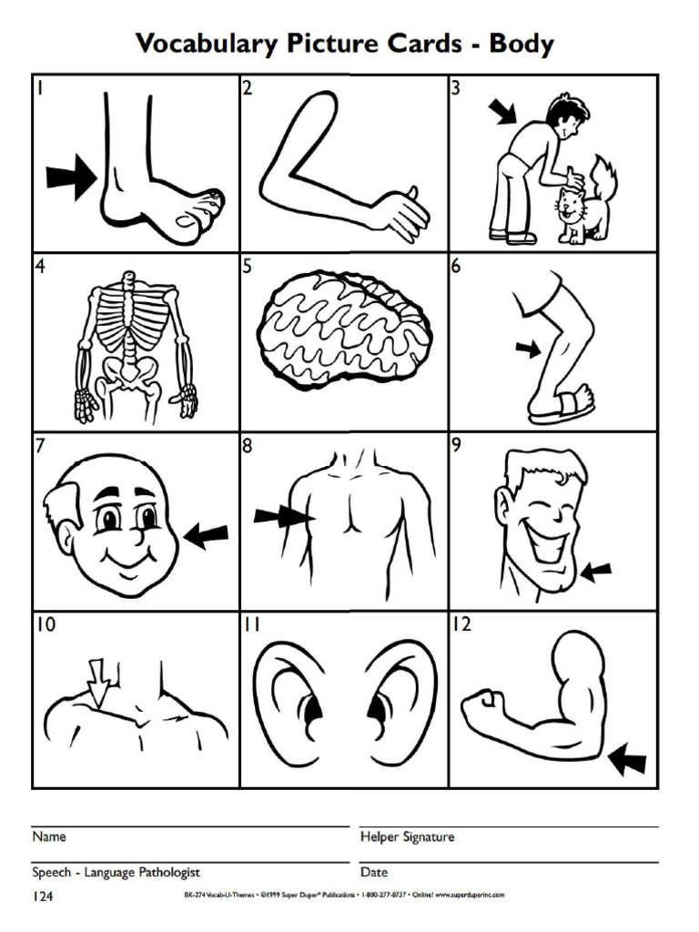 Vocab-U-Themes_Boddy Parts_p.124-127 | PDF