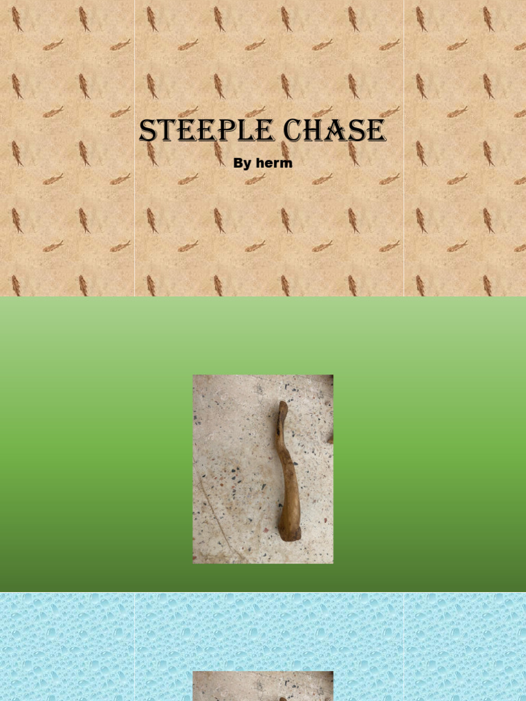 Steeple Chase of The Lower and Upper Limb Plus Cogenitals Updated One - 101737 | PDF | Bone | Joint