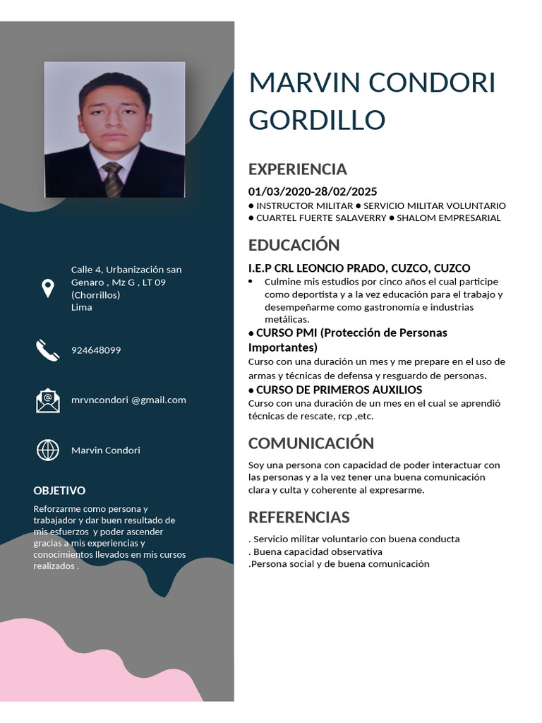 CV - MARVIN CONDORI GORDILLO | PDF
