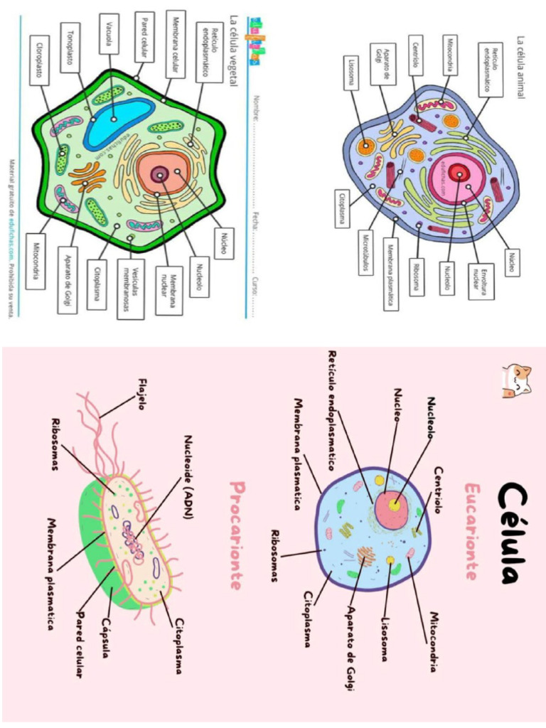 Documento de La Tarea | PDF