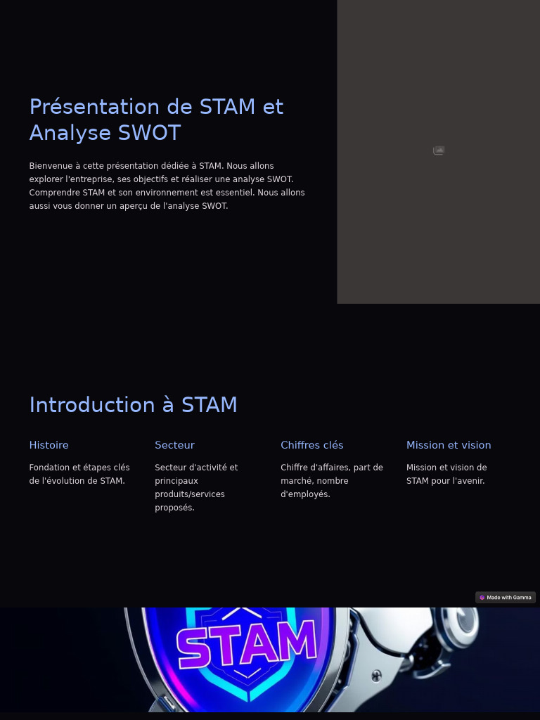 Presentation de STAM Et Analyse SWOT | PDF | Analyse SWOT | Croissance économique