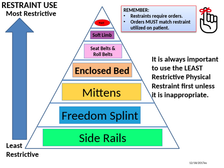 Guidelines for Physical Restraint Use | PDF