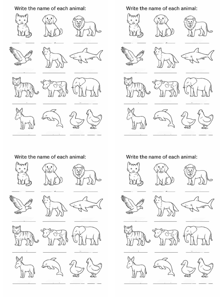 Animals Lesson | PDF