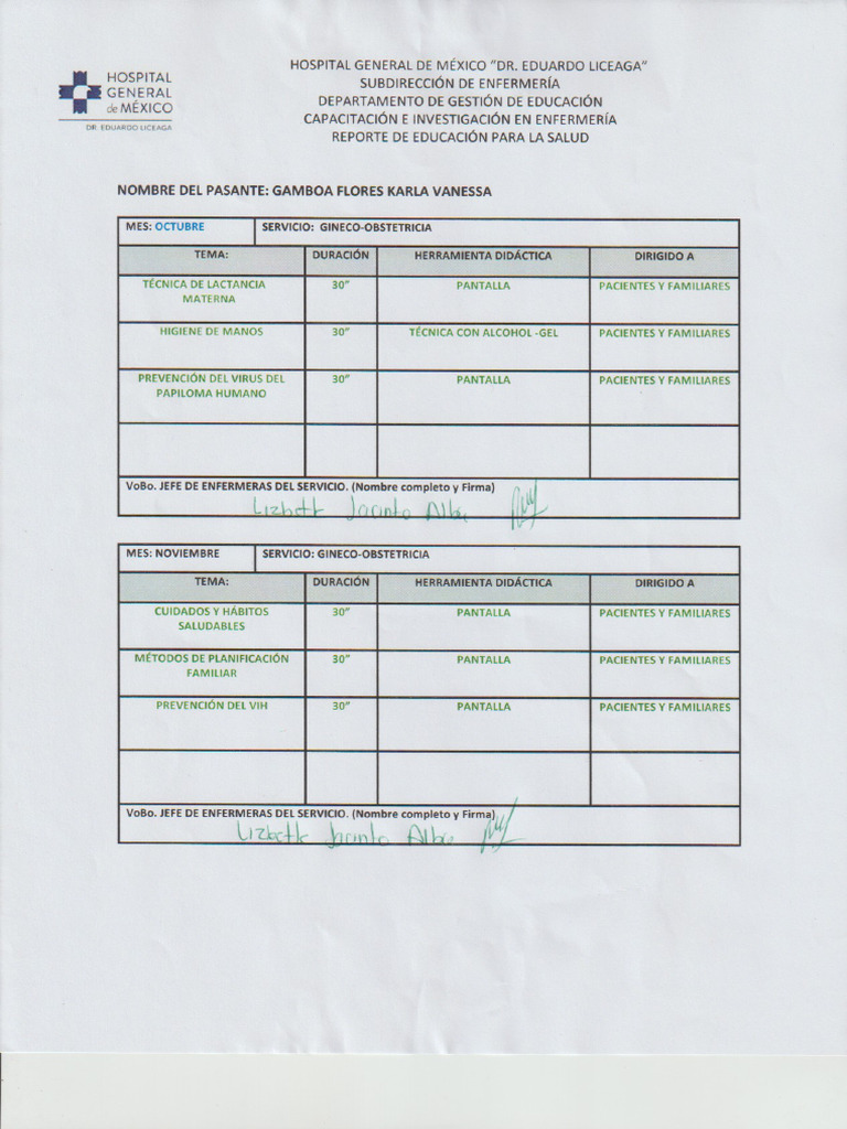 Primer Informe | PDF