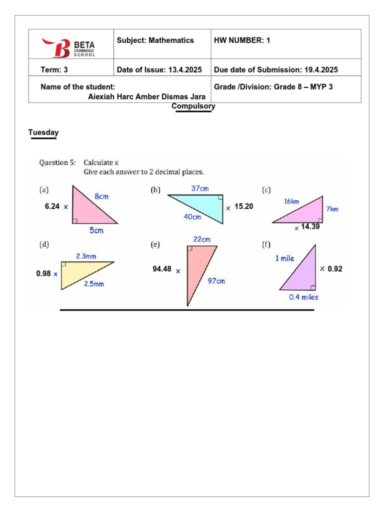 Grade 8 Math Homework Assignment | PDF