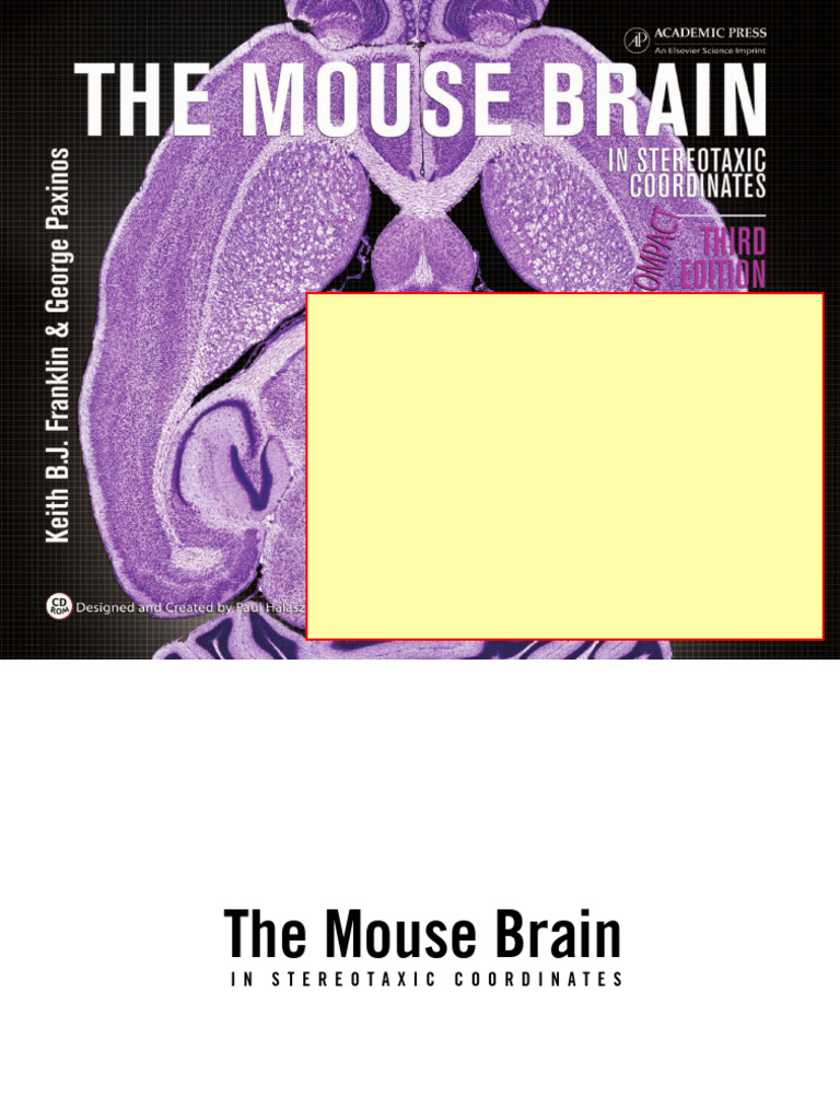 Mouse Brain Atlas Ce | PDF | Thalamus | Anatomical Terms Of Location