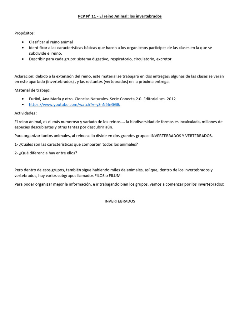 PCP N°11 Reino Animal (Parte 1) | PDF | Invertebrado | Insectos