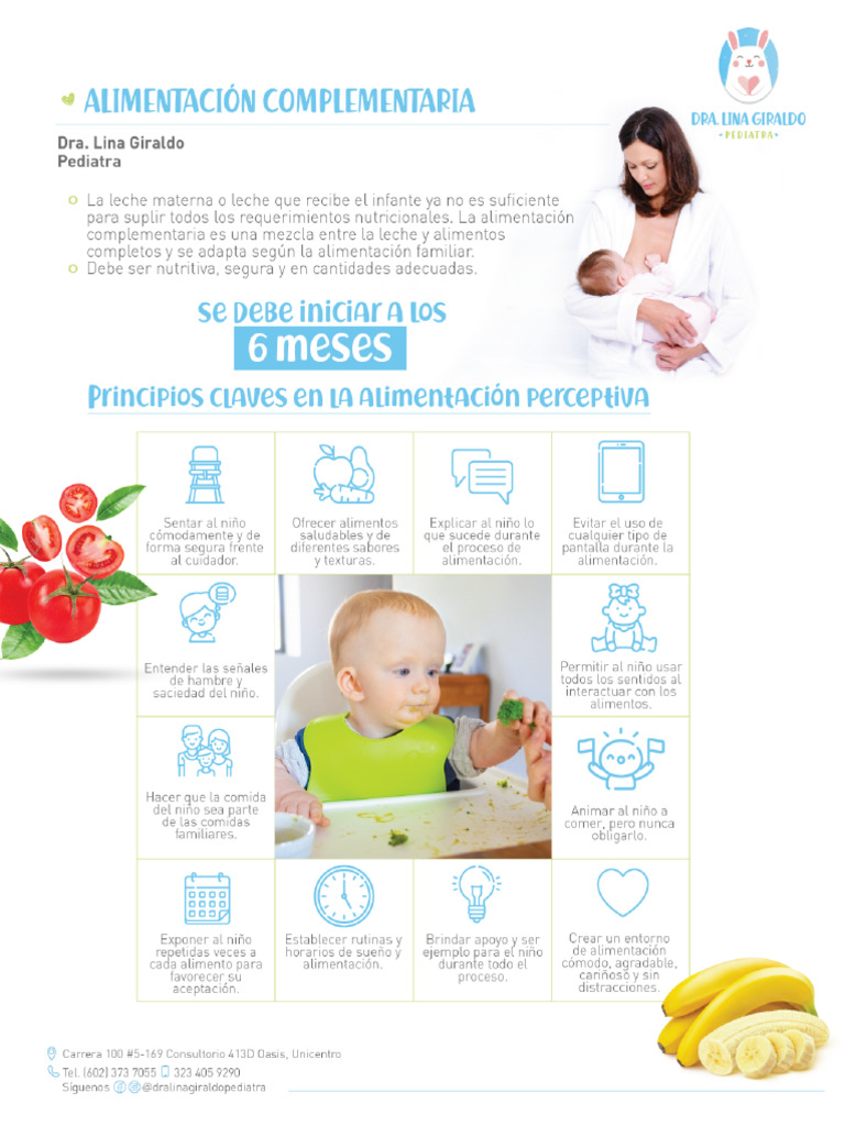 Guia Alimentacion Complementaria | PDF