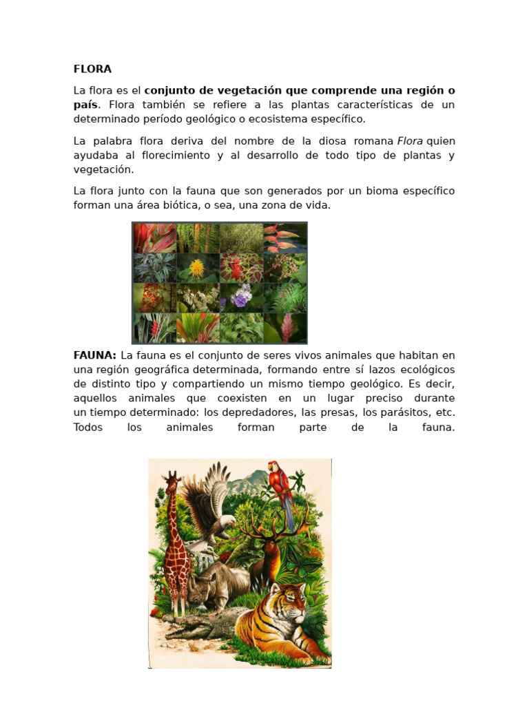 Definición de Flora y Vegetación | PDF