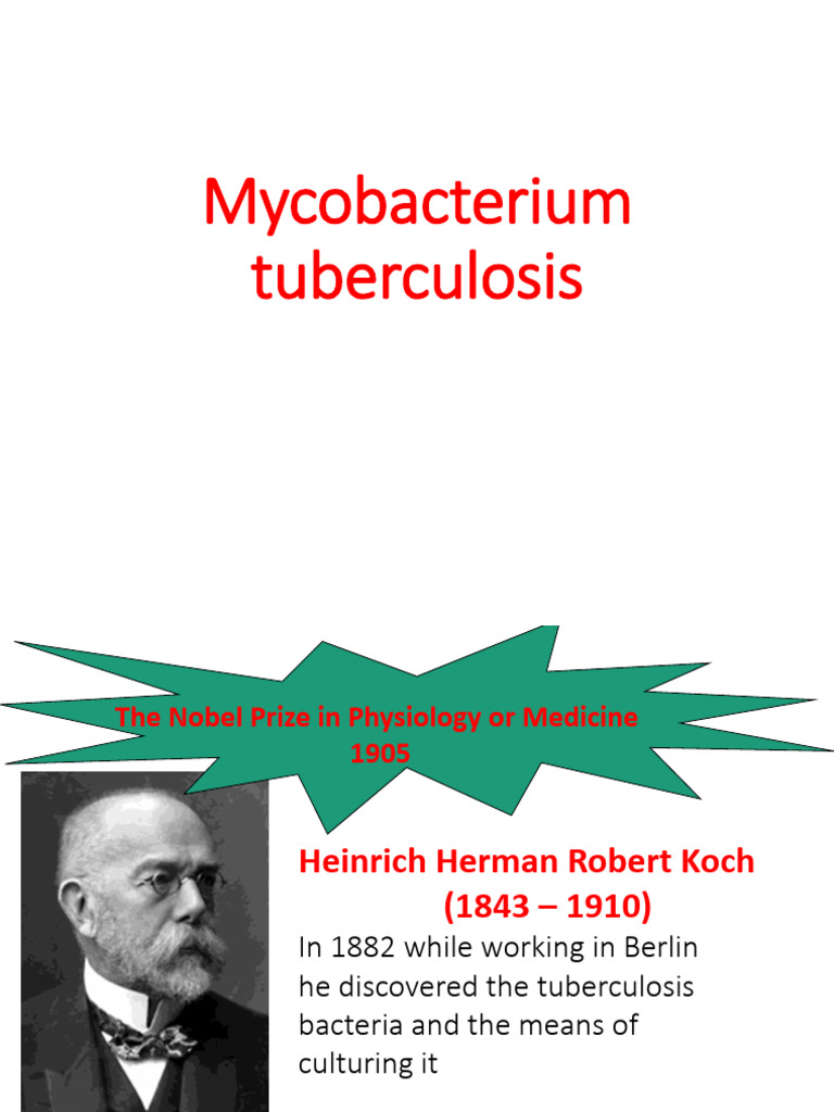 Mycobacterium Tuberculosis | PDF | Mycobacterium | Tuberculosis