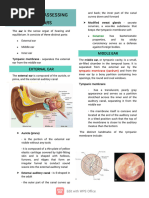 Smith&Nephew ENT Catalog | PDF | Surgery | Human Head And Neck