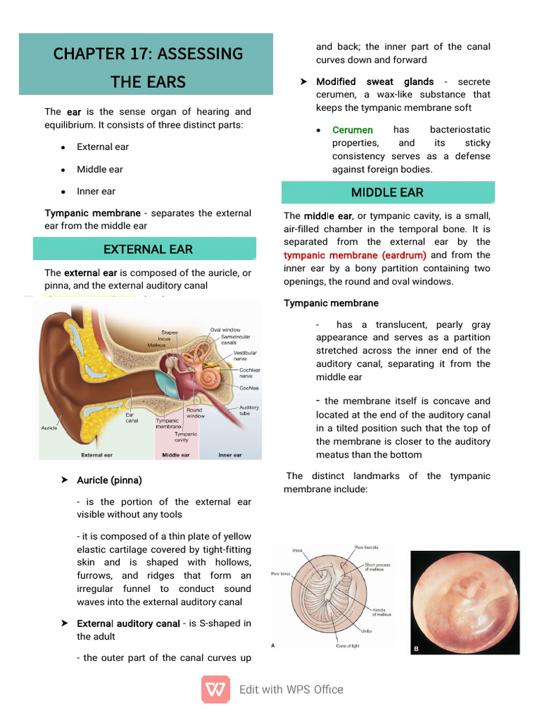 Chapter 17 Assessing The Ears | PDF | Ménière's Disease | Ear