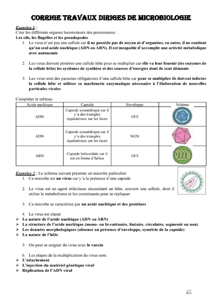 Corrigé TD de Microbiologie 2023-2024. | PDF